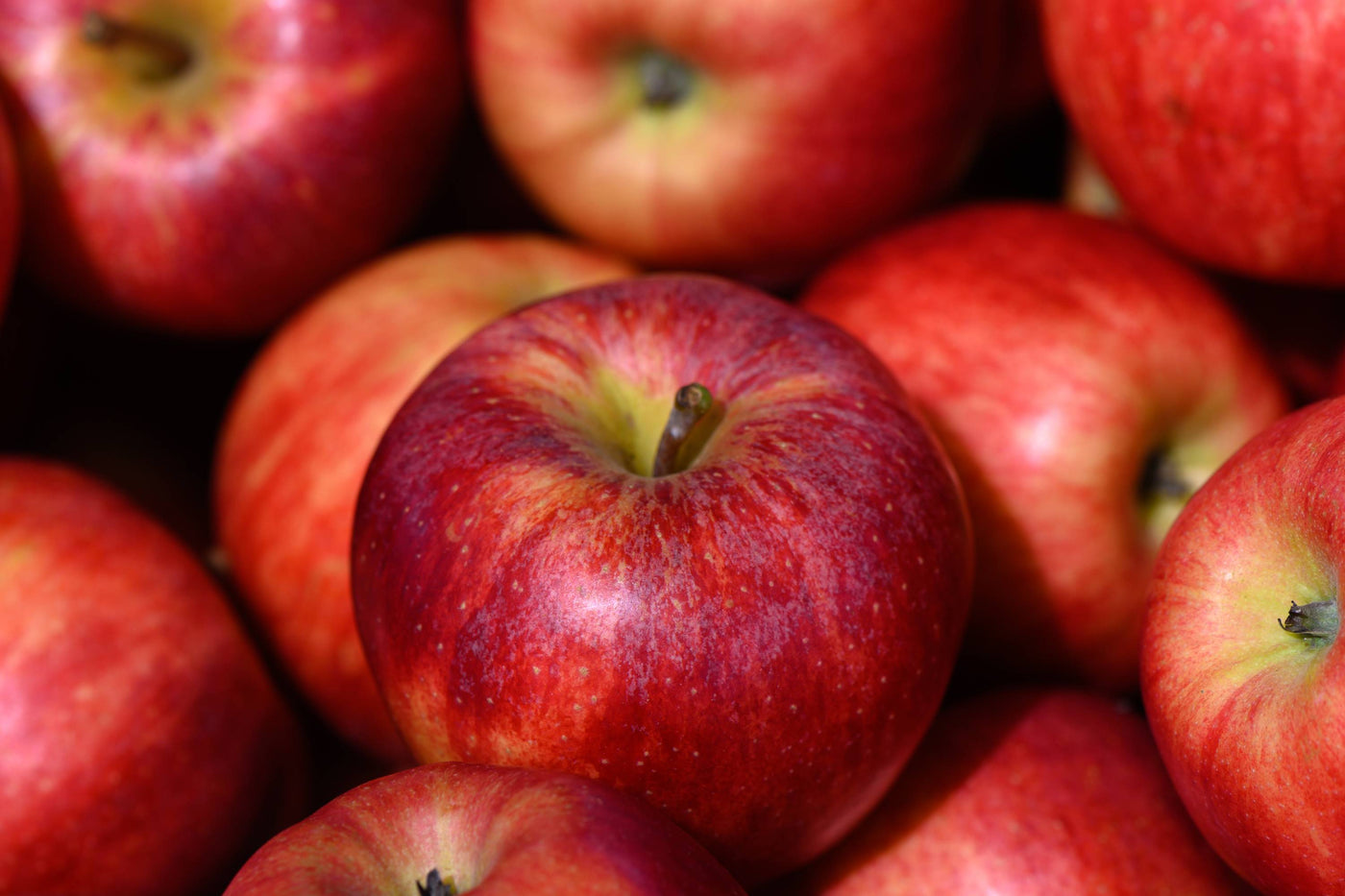 Apfel-Fakten: Geschichte, Kulinarik und mehr 🍎