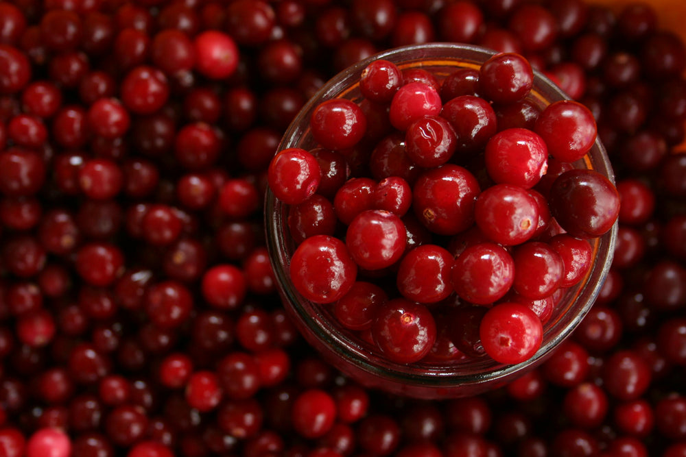 Was sind Cranberries? Eigenschaften & Verwendung